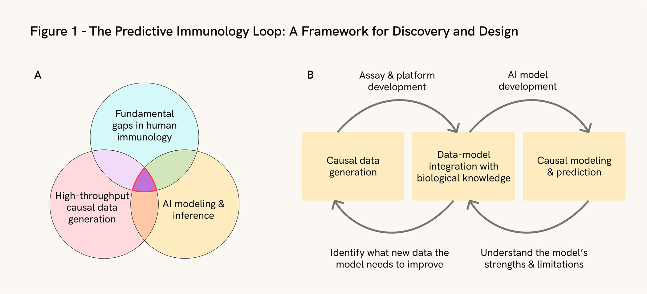 The Virtual Immune System: Predictive human immunology